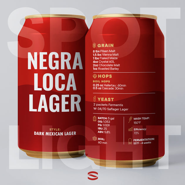 Mexican Lager Recipe with pixelHop Beer Co. | Spike Brewing
