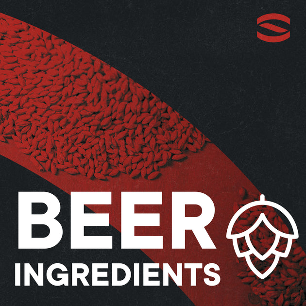 The 4 Main Ingredients Of Beer | Spike Brewing